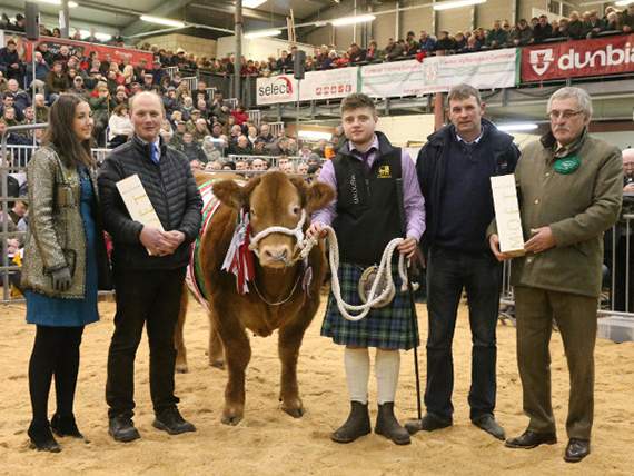 Royal Welsh Winter Fair attracts thousands to sunny Llanelwedd | brecon ...