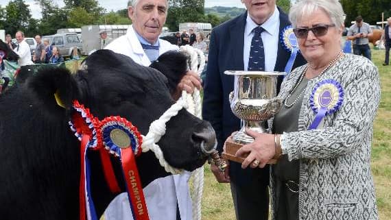 Sun shines on Lampeter Show | cambrian-news.co.uk