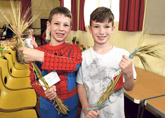 PICTURES: Mynytho Show | cambrian-news.co.uk