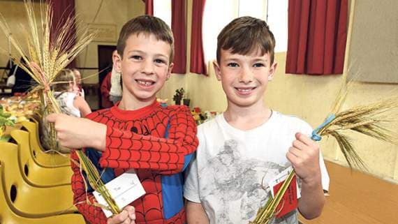 PICTURES: Mynytho Show | cambrian-news.co.uk