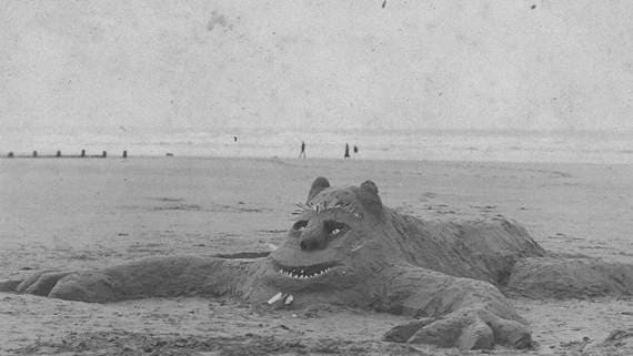 A deep dive into Ceredigion's maritime history | cambrian-news.co.uk