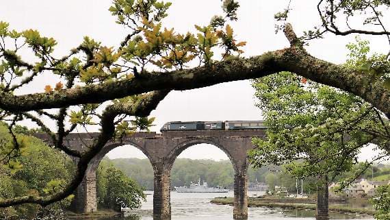 A hidden gem on my daily walk - Forder Creek and Trehan | cornish-times ...