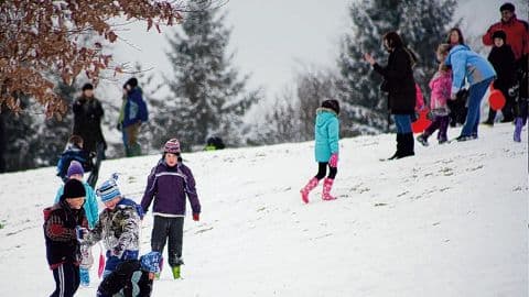 Chaos as 'worst snow for 18 years' strikes | farnhamherald.com