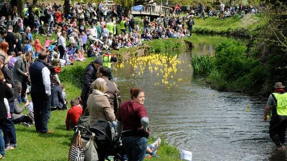 Duck races fun for all the family | farnhamherald.com