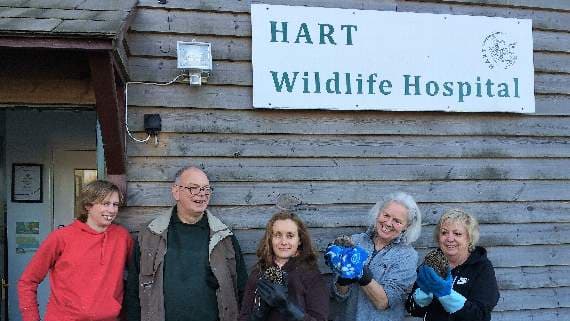 Wildlife rescuers issue SOS | farnhamherald.com