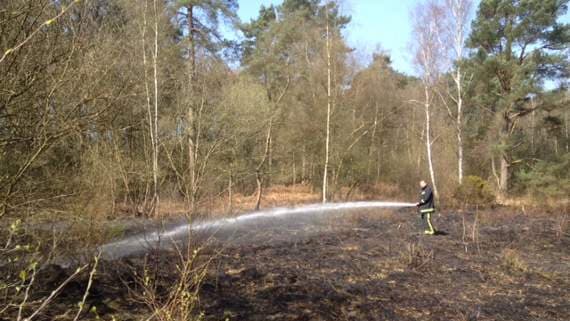 Heathland fire 'an act of arson' | farnhamherald.com