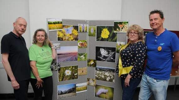 Town council's meadow assessment call | farnhamherald.com