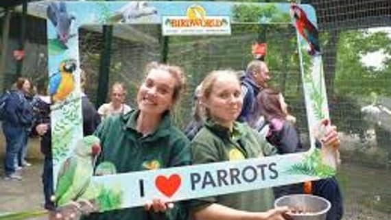 Show your love for Birdworld | farnhamherald.com