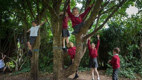 Catchment 'not the be all and end all’ | farnhamherald.com