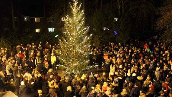 Tributes paid at Phyllis Tuckwell's Light up a Life service ...