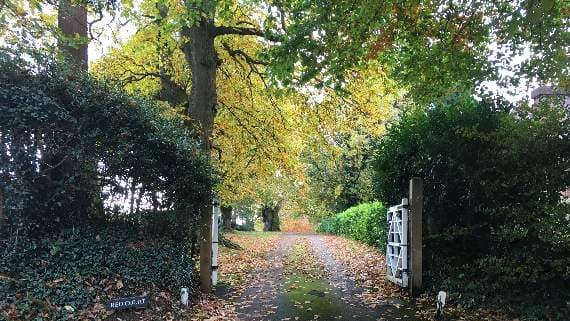 Red Court: Decision Day is now looming | farnhamherald.com