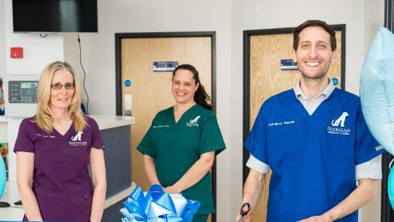 New £1.8 million veterinary hospital to open in Farnham | farnhamherald.com