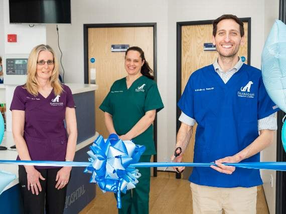 New £1.8 million veterinary hospital to open in Farnham | farnhamherald.com