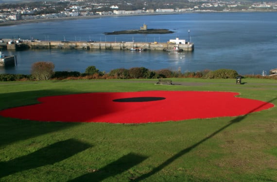 Douglas head poppy will be permananent | iomtoday.co.im