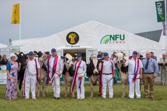 Pembrokeshire County Show feature - August 15, 16 and 17 | tenby-today ...