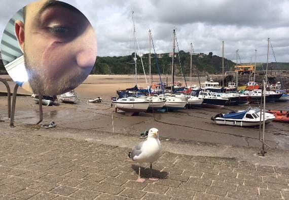 seagull attack uk