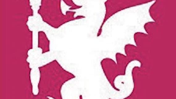 One council, five councils or something in between? | wsfp.co.uk