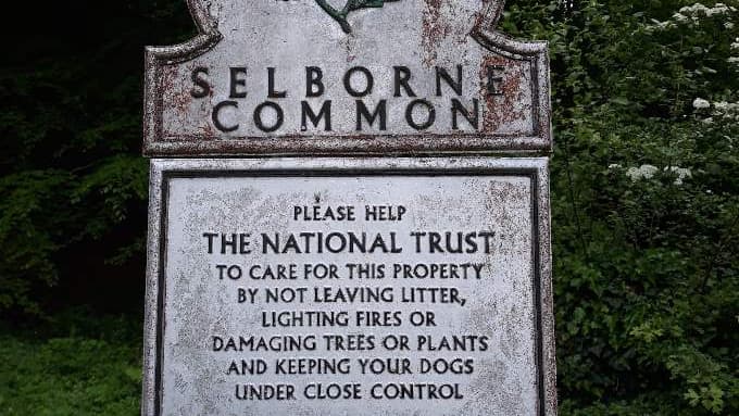 No phone signal leads to hefty car park fine at Selborne beauty spot ...