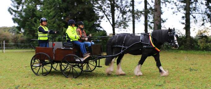 Charity wants to expand its carriage-driving service | farnhamherald.com