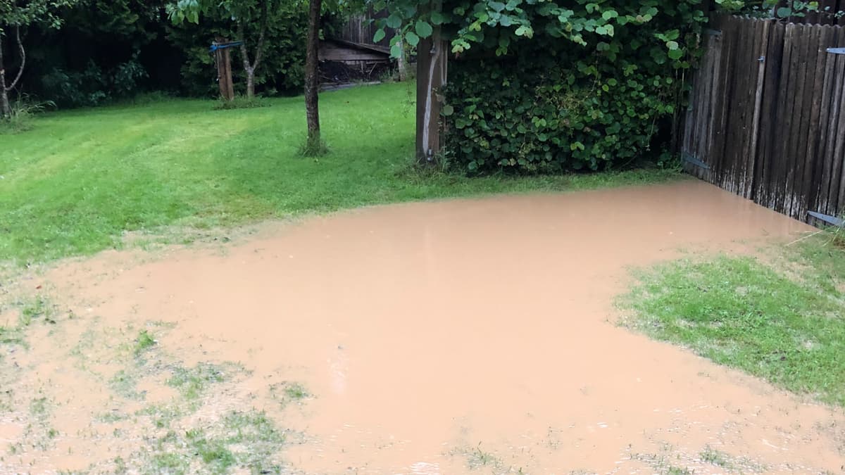 Sturt Farm plans puzzle Haslemere town councillors | farnhamherald.com