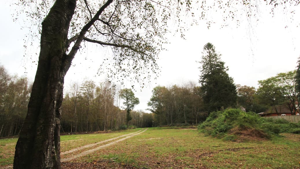 'Haslemere will never be the same' after inspector overturns Waverley's ...