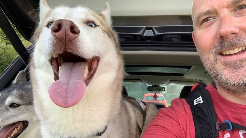 'Help us to find adored Archie' | theforestreview.co.uk