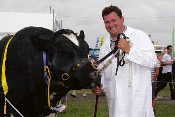 Cattle competition sees ‘bags of quality’... and the first ‘sociable ...
