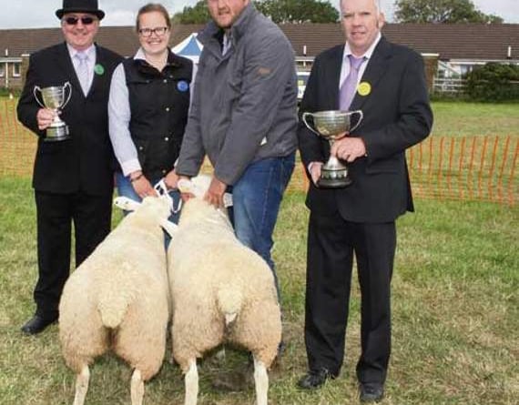 The best in local farming on display at Ashwater Agricultural Show ...