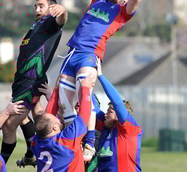 Totnes Times - local news at the heart of the community