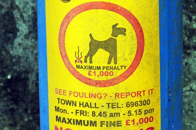 Temporary CCTV to combat dog fouling in Douglas? | iomtoday.co.im
