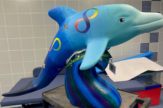 Big Splash dolphin design celebrates neurodiversity | iomtoday.co.im