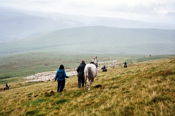 Award-winning film comes home to Rhayader for screening | brecon-radnor ...