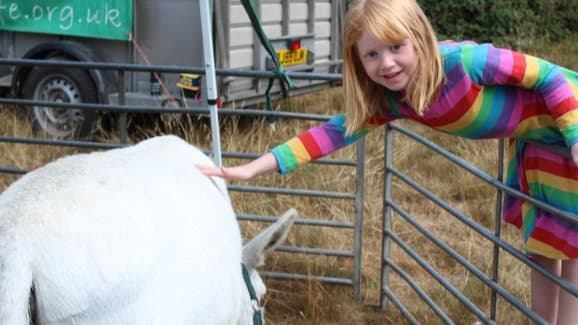 Haslemere Educational Museum hosts Mill Farm Cottage Experience animals ...