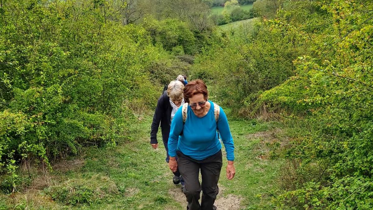 A two-day ramble on Hangers Way – with Petersfield Ramblers ...