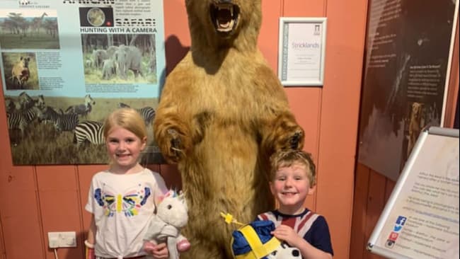 Haslemere Museum holds teddy bears picnic | farnhamherald.com