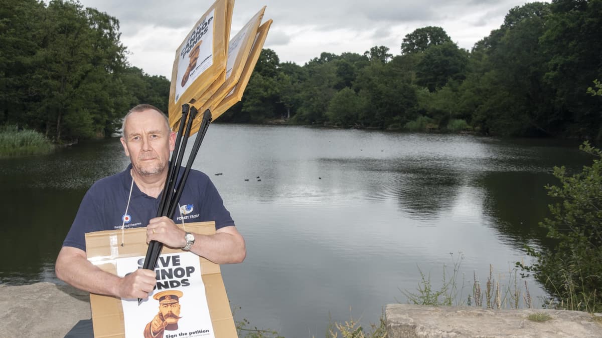 No plans to 'exterminate' wild boar in the Forest of Dean, says ...