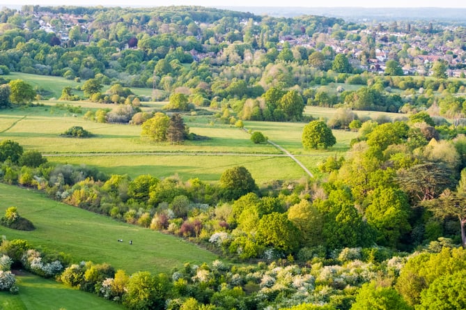 Mile-long Farnham Park footpath to be repaired and restored – starting ...