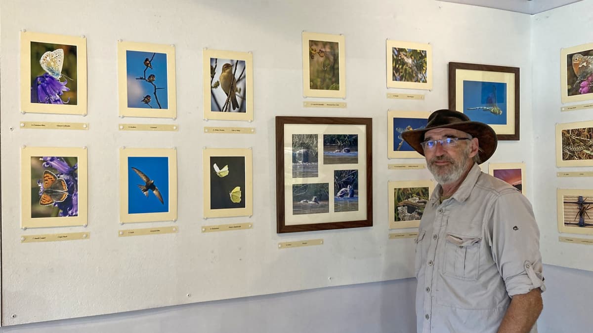 Borth Bog captures photographer’s imagination | cambrian-news.co.uk