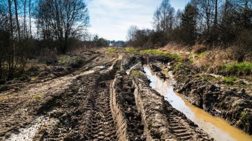 Gawm and gubber mud gets you slubby | petersfieldpost.co.uk