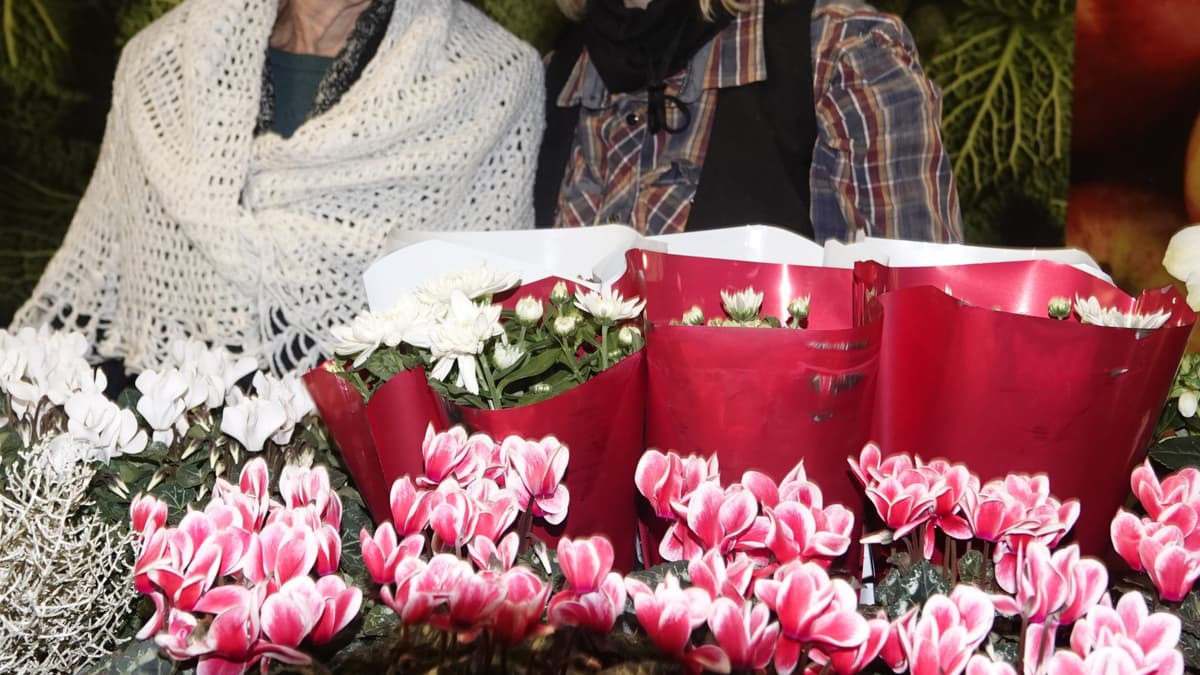 All the joy of Bere Alston Victorian Evening | tavistock-today.co.uk