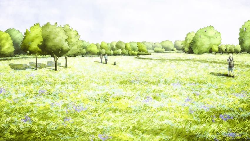 Countryside officer for Petersfield | petersfieldpost.co.uk