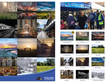 Hedgehogs' Love Farnham Calendar 2023 raised £12,000 to help local ...