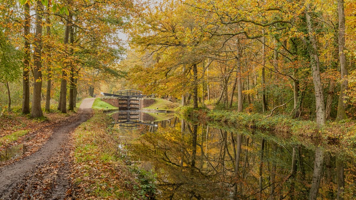 Boat hire and camping could end on Basingstoke Canal due to cost ...