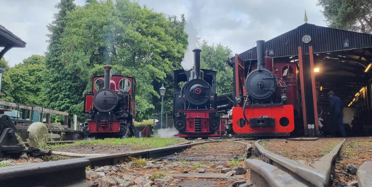 Polar express to visit Santa at the Rural Life Living Museum this ...