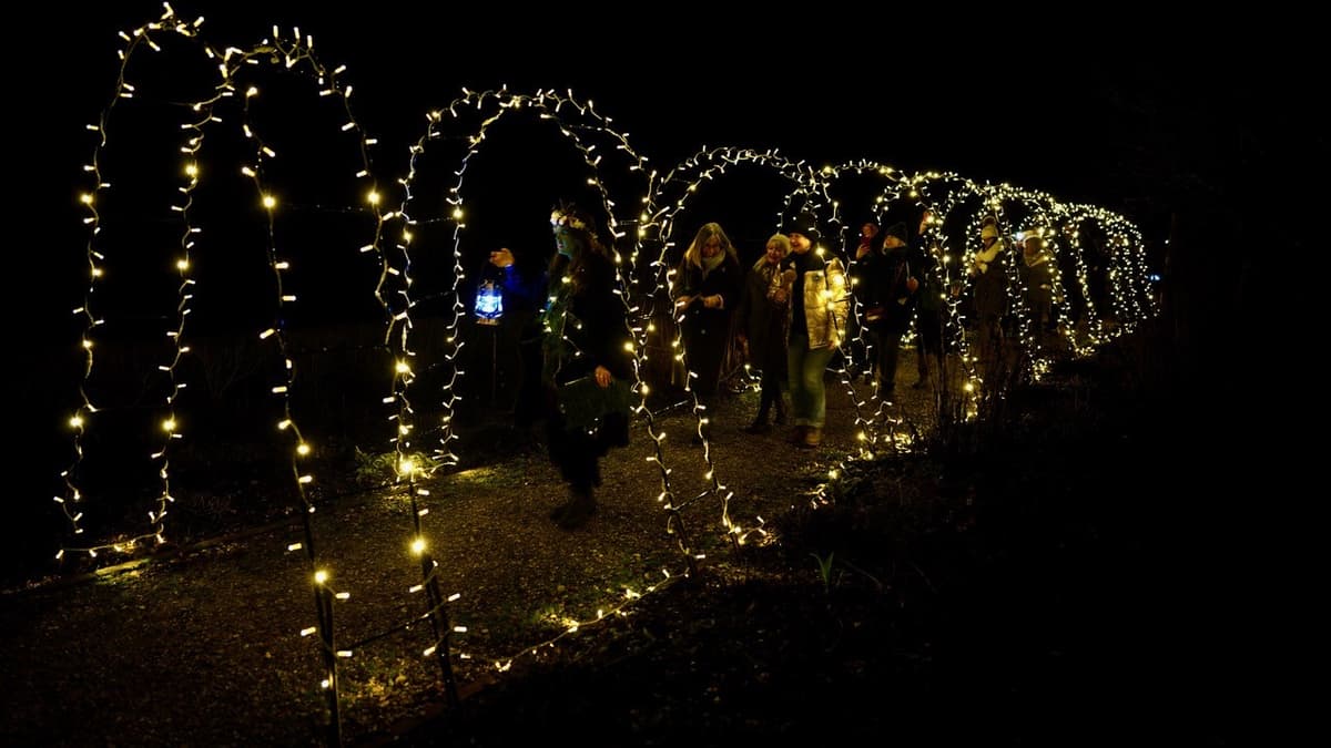 Wassailers keep evil spirits away from orchard at Chawton House ...
