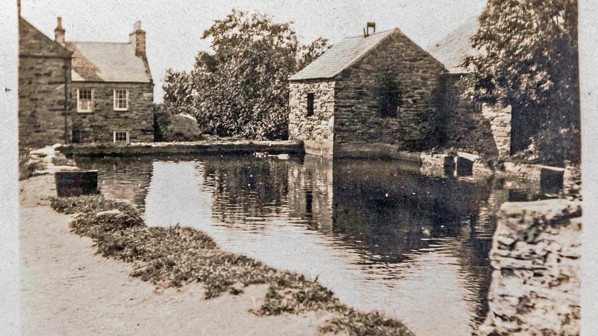 A walk to see the romance of Colby river | iomtoday.co.im