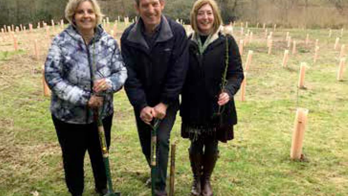 New copse is created in corner of Petersfield Cemetery | farnhamherald.com