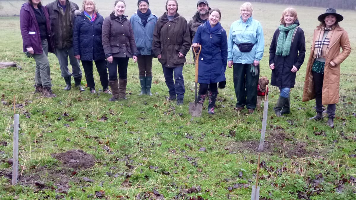 Elizabeth Copse planted at Chawton House to remember Queen ...