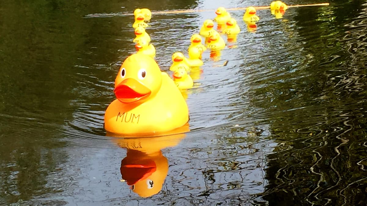 Farnham Duck Race to return 'bigger and better' at Gostrey Meadow next ...