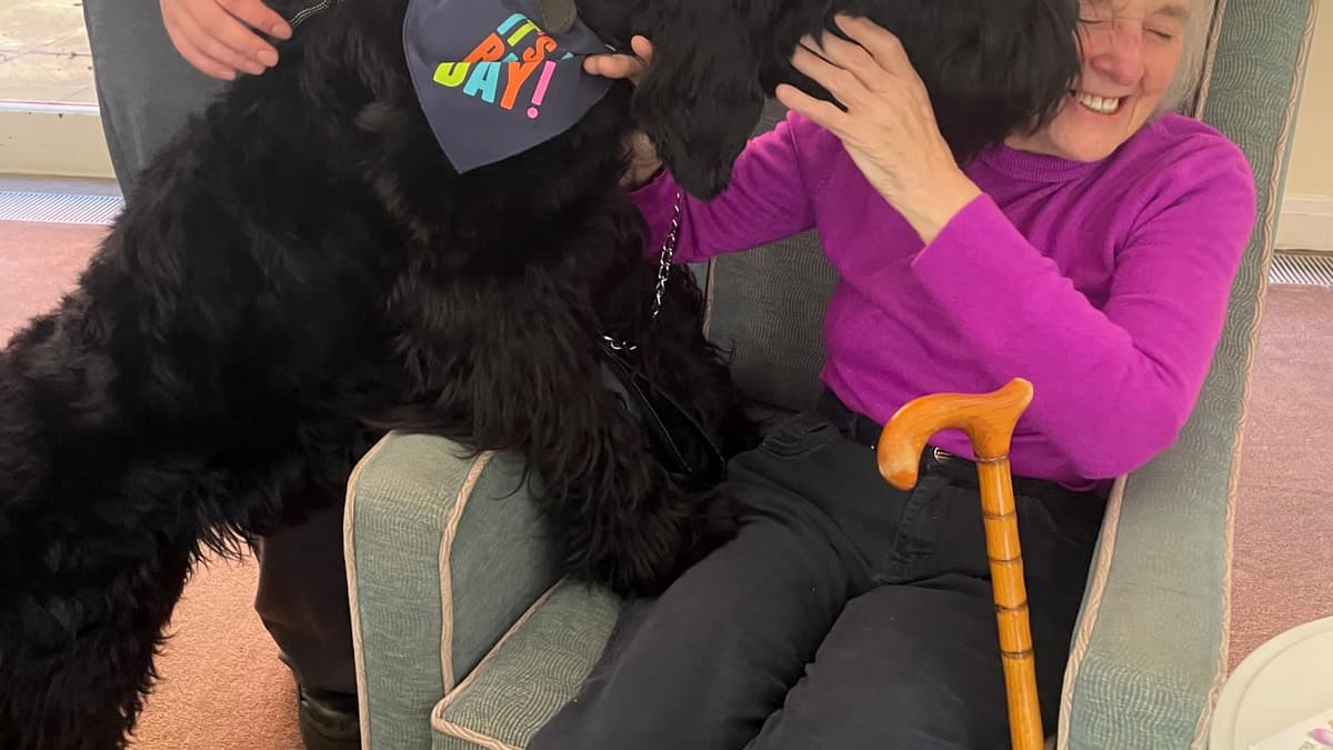Furry birthday boy brings joy to Hindhead care home residents ...